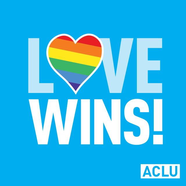 Love WINS! National Marriage Equality Victory! Love WINS! National ...